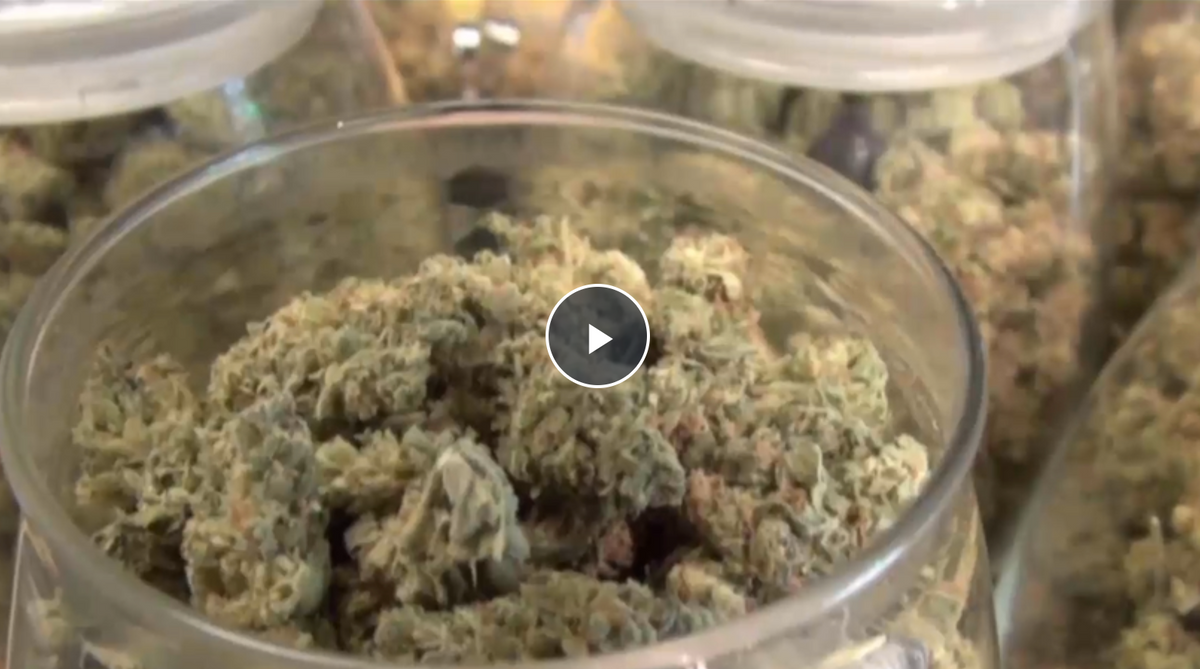 DEA Plans to Reclassify Marijuana – PureNative